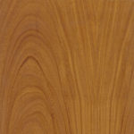 Wood Species | GL Veneer
