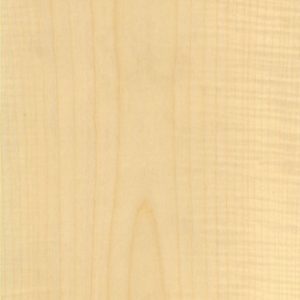 Maple - GL Veneer