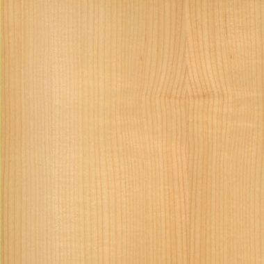 Maple - GL Veneer