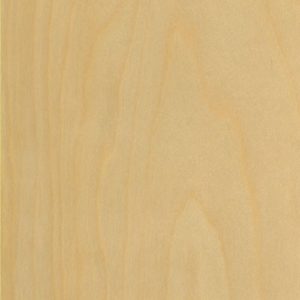 Birch - Yellow - GL Veneer