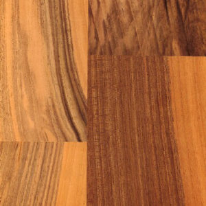 Walnut - European - GL Veneer