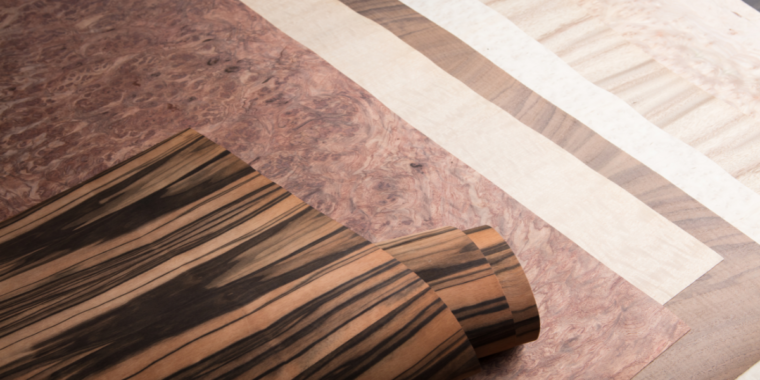 5 Things to Consider Before Purchasing Wood Veneer - GL Veneer