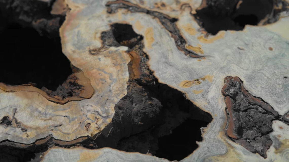 Buckeye Burl Live Edge Slabs | GL Veneer