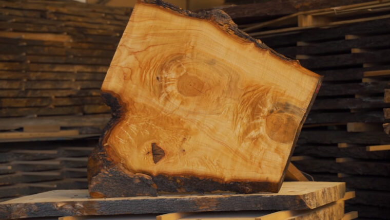Ash Live Edge Slabs | GL Veneer