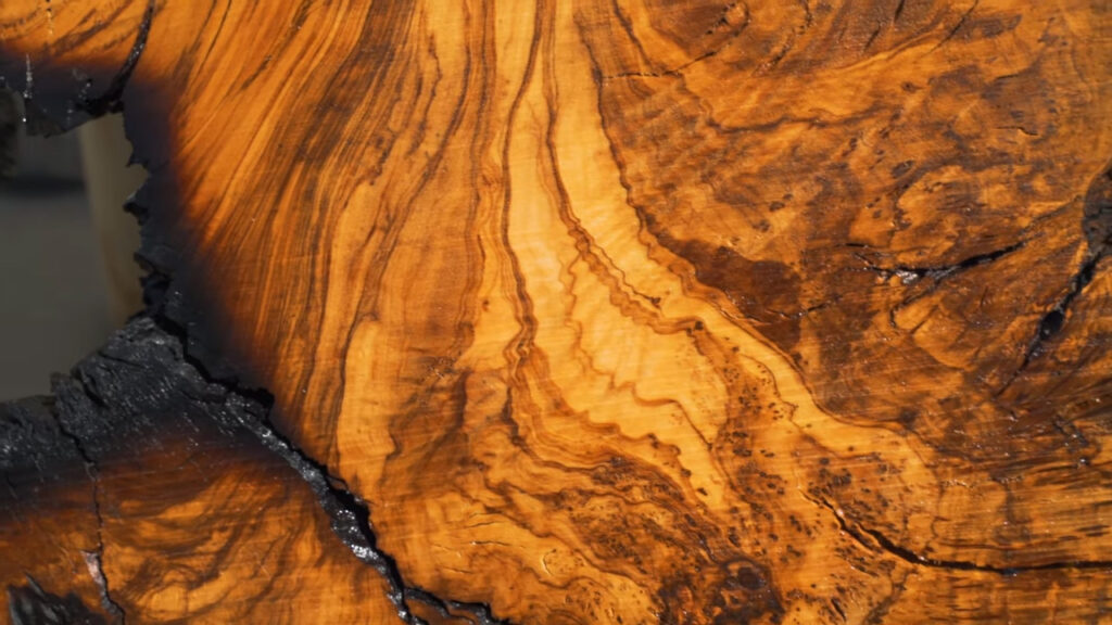 Olive Live Edge Slabs | GL Veneer