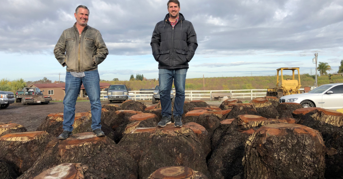 Salvaging Trees for Live Edge Slabs - GL Veneer