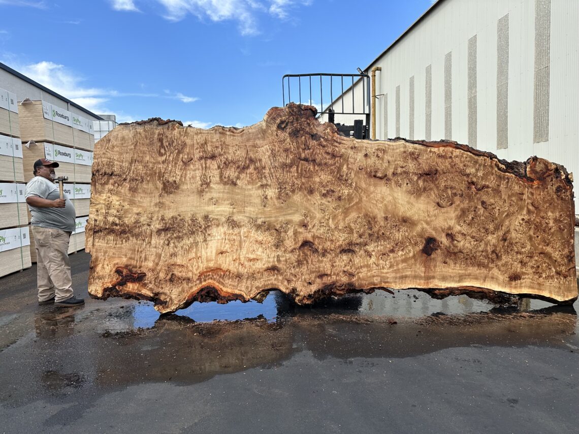 Rethinking The Cottonwood Slab: An Underappreciated Wood Species - GL Veneer
